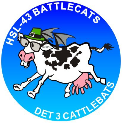 MH-60R Seahawk belonging to the HSL-43 DET-3 'Battlecats'