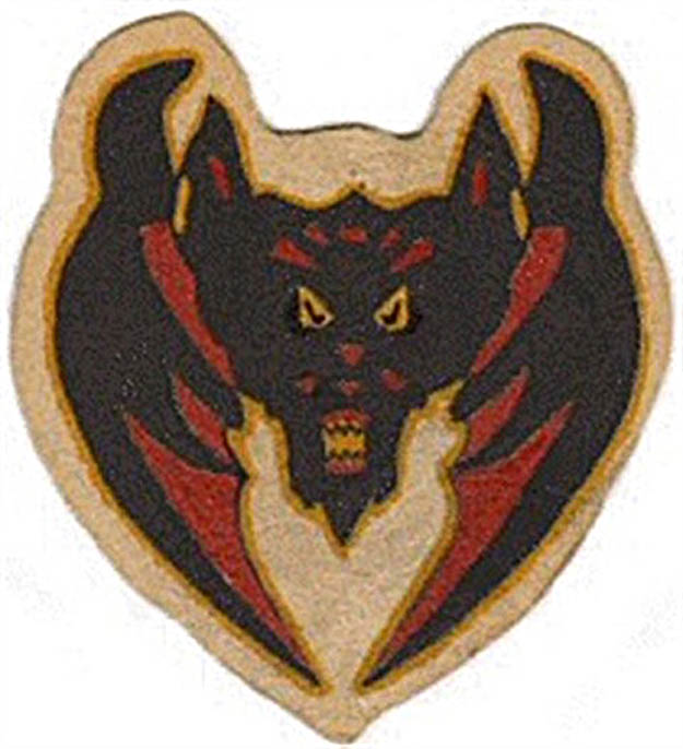 USAF 44th FS Bat Patches